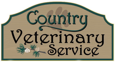 Animal Hospital in Burlington, WI Country Veterinary Service